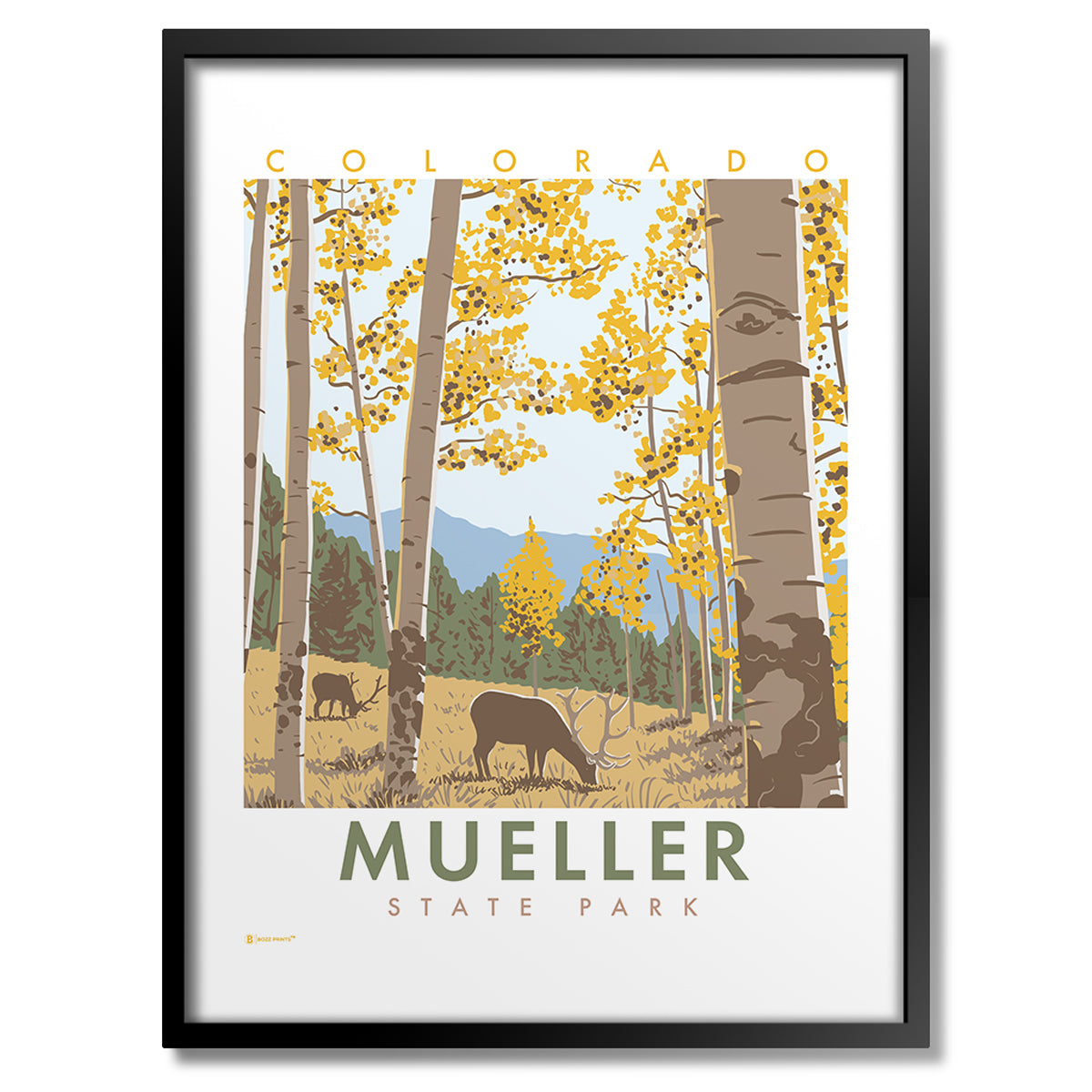 Mueller State Park Colorado Art Print - Bozz Prints